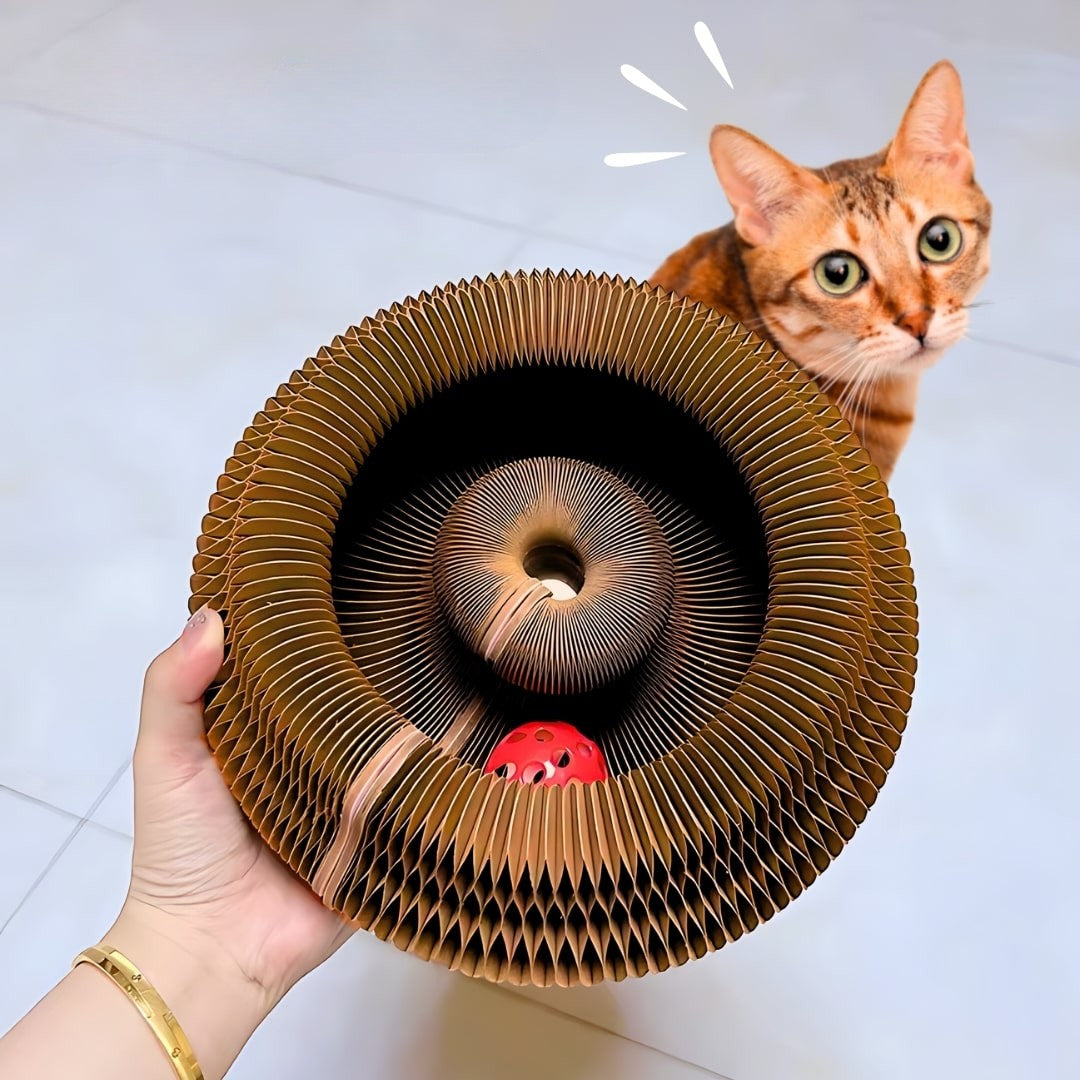 MeowMotion™ - The Ultimate All-in-One Cat Toy
